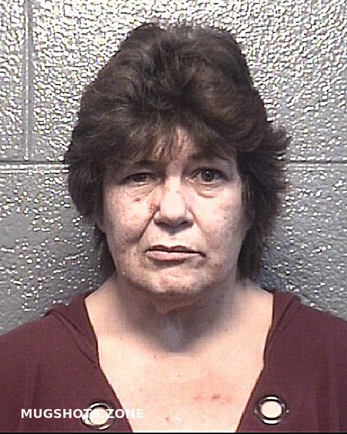 BURKE SANDRA LYNN 11/16/2024 - Danville Mugshots Zone