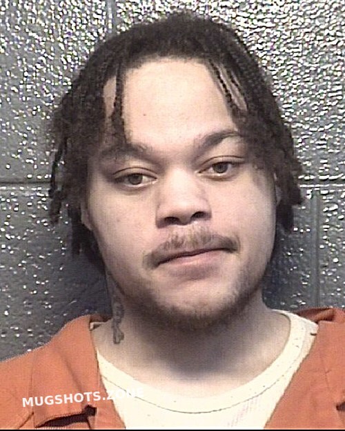 HELMS BOBBY RONELL 11/22/2024 - Danville Mugshots Zone