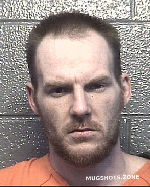 NUNN MARK TRAVIS 11/25/2024 - Danville Mugshots Zone