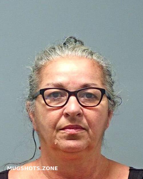 HOLLOWAY LISA L 02/02/2024 - Darke County Mugshots Zone