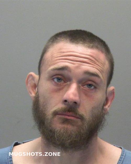 FLIPPO JR ROBERT WAYNE 03/19/2025 - Darke County Mugshots Zone