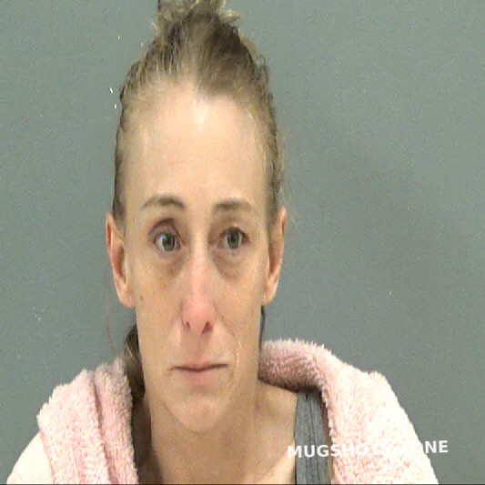 GALLOWAY DANA EASTERLING 11/17/2022 - Darlington County Mugshots Zone