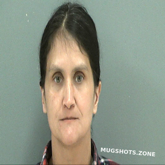 GOINS ERICA LOCKLEAR 11/23/2022 - Darlington County Mugshots Zone