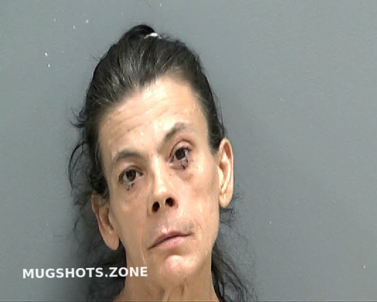 HOWLE PATRICIA JEAN 06/28/2023 - Darlington County Mugshots Zone