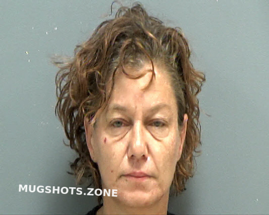 HOPKINS LISA MARIE 08/13/2023 - Darlington County Mugshots Zone