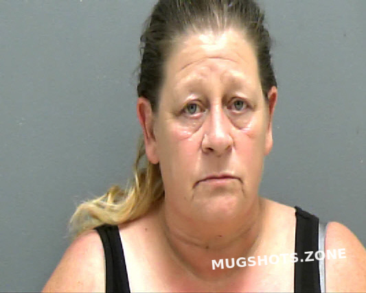 COLLINS MICHELLE DION 11/16/2023 - Darlington County Mugshots Zone