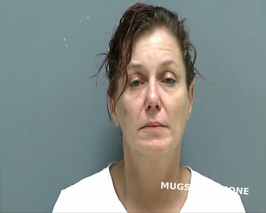 HOPKINS LISA MARIE 12/04/2023 - Darlington County Mugshots Zone