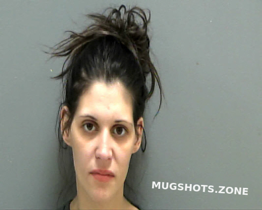 HICKS REBECCA DANIELLE 03/12/2024 - Darlington County Mugshots Zone