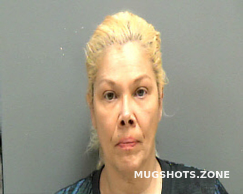 LOCKLEAR MARY PATRICIA 07/08/2024 - Darlington County Mugshots Zone