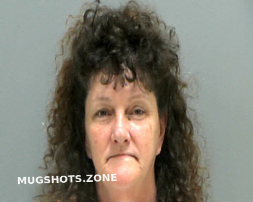 HARRELL SANDY RENEE 08/18/2024 - Darlington County Mugshots Zone