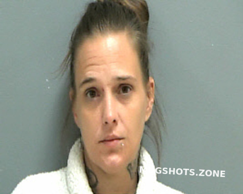 DIXON LISA ANN 10/28/2024 - Darlington County Mugshots Zone