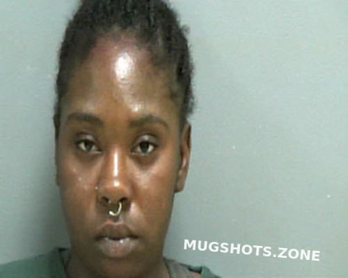 WILLIAMS COURTNEY SELENA 11/02/2024 - Darlington County Mugshots Zone