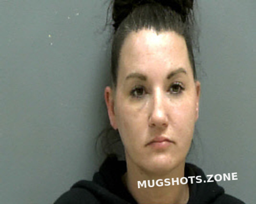FINK FRANCESCA MARIE 11/04/2024 - Darlington County Mugshots Zone