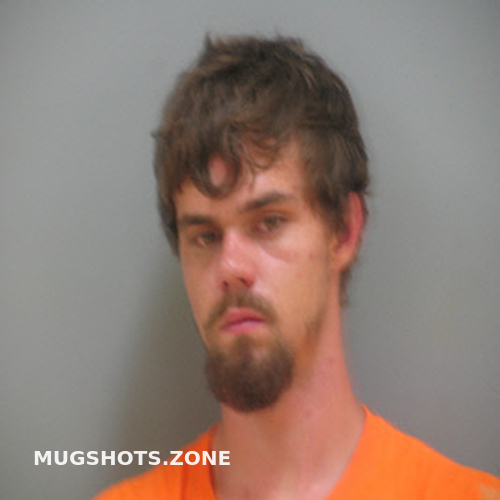 CATOE MICHAEL SUMNER CANTON 03/08/2025 - Darlington County Mugshots Zone