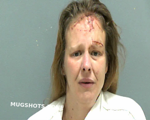 WILLIAMS ASHLEE 07/14/2025 - Darlington County Mugshots Zone