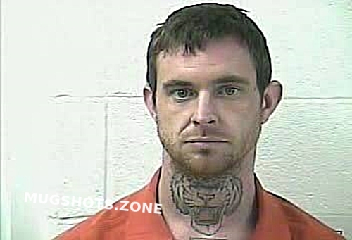 COOK SHEA WESLEY 02/17/2022 - Daviess County Mugshots Zone