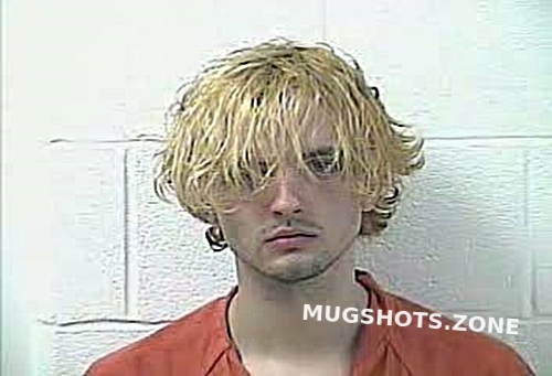 SANTOS JOSIAH ALEXANDER 03/26/2022 - Daviess County Mugshots Zone
