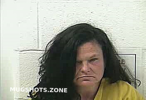 HALE STEPHANIE LEANNE 05/03/2022 - Daviess County Mugshots Zone