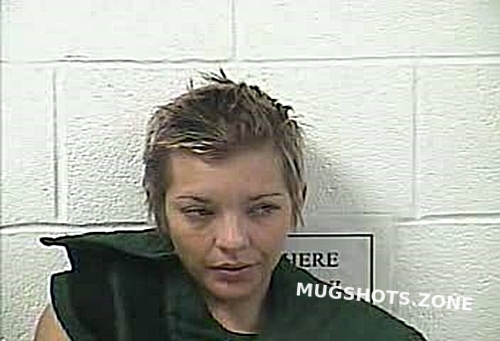 BROOKS HEATHER MICHELLE 05/15/2022 - Daviess County Mugshots Zone