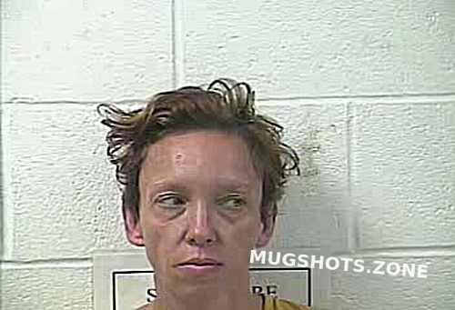 TOLLE AMANDA JO 07/15/2022 - Daviess County Mugshots Zone