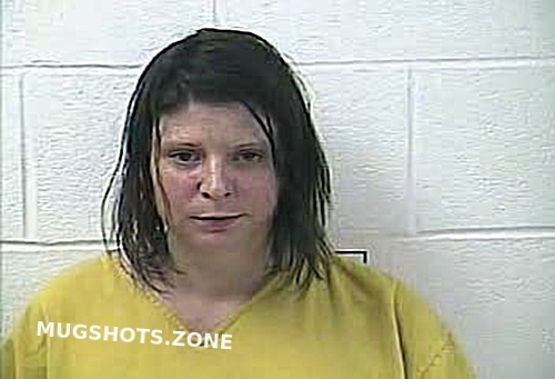 PILCHER JESSICA ELAINE 08/15/2022 - Daviess County Mugshots Zone