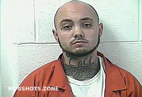 LINDSEY DILLON RAY 12/06/2022 - Daviess County Mugshots Zone