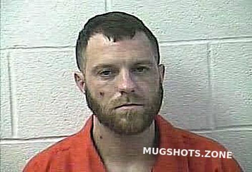 PEAK STEVEN ANDREW 01/23/2024 - Daviess County Mugshots Zone
