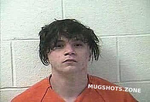 VAUGHT AVERY RYLIN 02/11/2024 - Daviess County Mugshots Zone