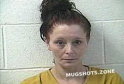 SHELL JESSICA ANN 02/15/2024 - Daviess County Mugshots Zone