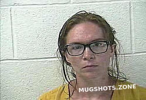BASHAM RACHEL ANNE 07/21/2024 - Daviess County Mugshots Zone