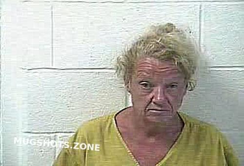 ELLIOTT KARIN ANN 07/24/2024 - Daviess County Mugshots Zone