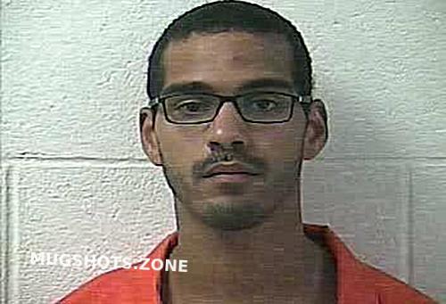 RILEY DARIEN MARSHALL 07/30/2024 - Daviess County Mugshots Zone