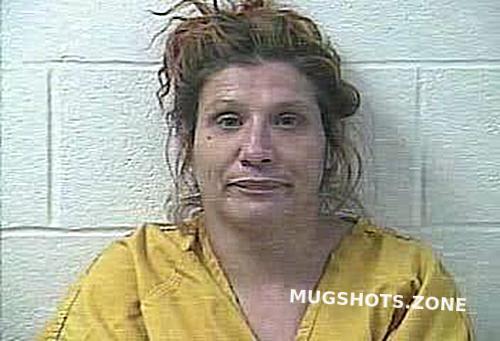 LAYMAN JESSICA MARIE 08/06/2024 - Daviess County Mugshots Zone
