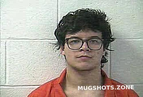 COLLIER TRISTAN MICHAEL 01/15/2025 - Daviess County Mugshots Zone