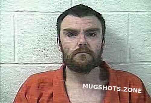RIDDLE PHILLIP RYAN 01/31/2025 - Daviess County Mugshots Zone