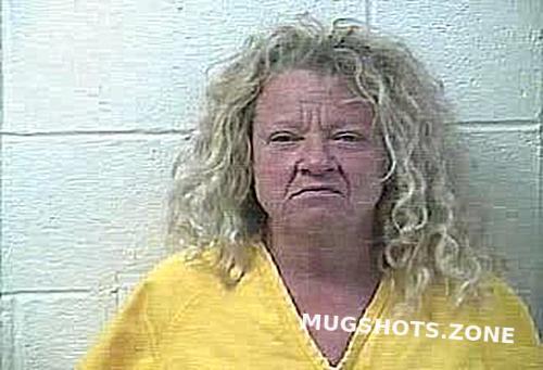 ELLIOTT KARIN ANN 03/29/2025 - Daviess County Mugshots Zone