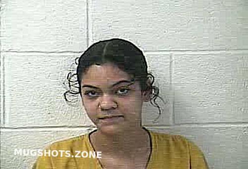 ROBERSON TAMIA DANAY 04/02/2025 - Daviess County Mugshots Zone