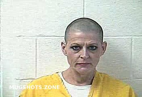 CURTIS JENNIFER DENISE 04/09/2025 - Daviess County Mugshots Zone