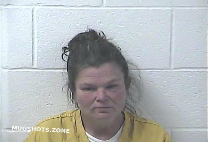 HALE STEPHANIE LEANNE 11/01/2025 - Daviess County Mugshots Zone