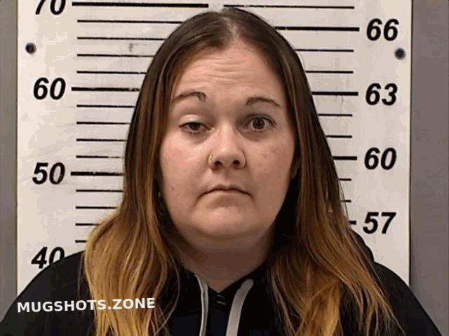 KETCHAM MELISSA MARIE 06/11/2024 - Defiance County Mugshots Zone