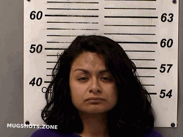 BARRIENTES DANIELLE LYNN 08/09/2024 - Defiance County Mugshots Zone