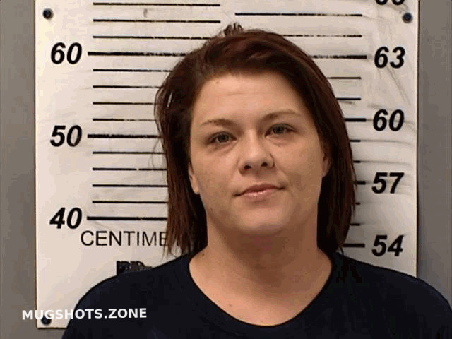 CASTILLO BRITTNEY LYNETTE 05/15/2025 - Defiance County Mugshots Zone