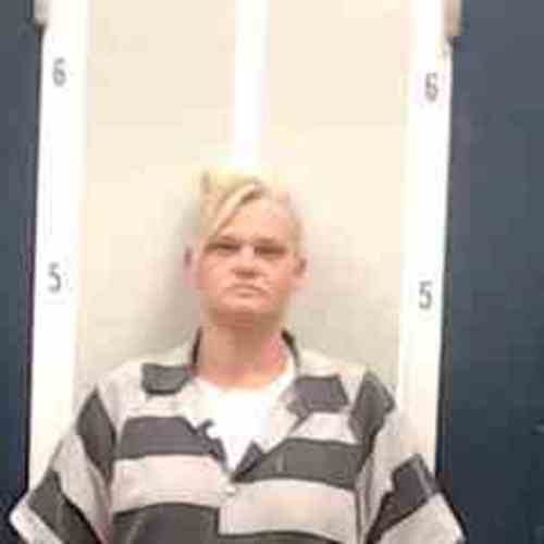 JENNIFER KARR 02/02/2021 - DeKalb County Mugshots Zone
