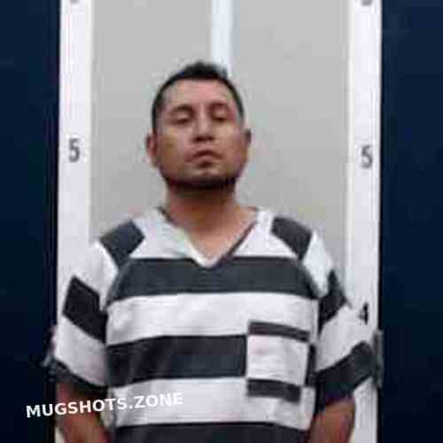 LUIS SILVA 08/22/2022 - DeKalb County Mugshots Zone