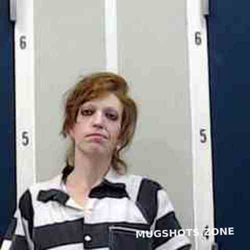 MEGAN HARDEMAN 11/01/2022 - DeKalb County Mugshots Zone