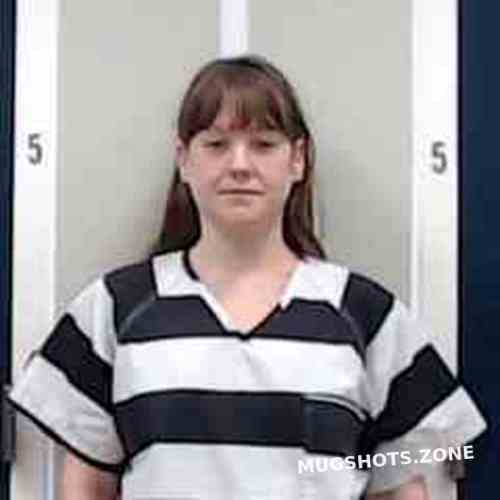 MEGAN STRINGER 12/27/2022 - DeKalb County Mugshots Zone