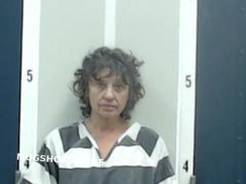 Karen Combs 12 11 2023 Dekalb County Mugshots Zone