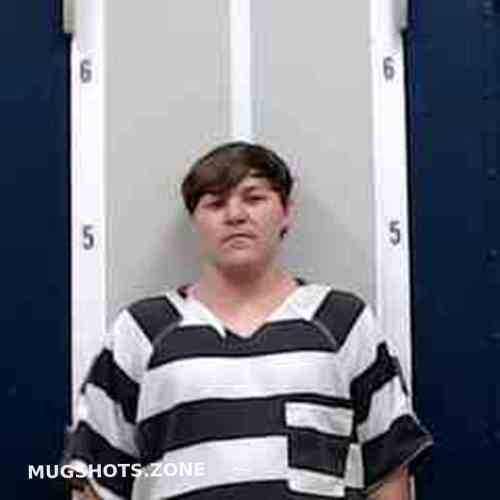 JASON SMITH 02/22/2024 - DeKalb County Mugshots Zone