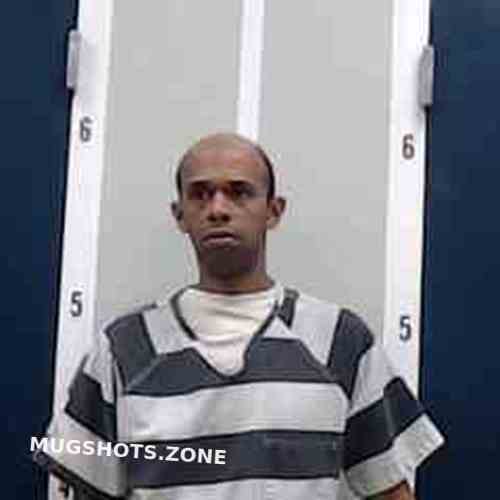 STEPHEN PALMER 02/23/2024 - DeKalb County Mugshots Zone