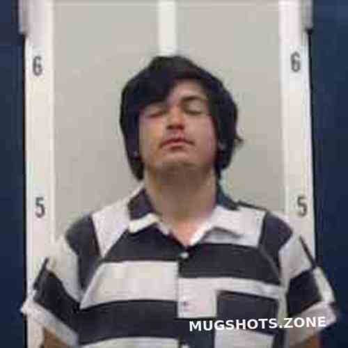 CHRISTIAN ALVARADO 04/10/2024 - DeKalb County Mugshots Zone